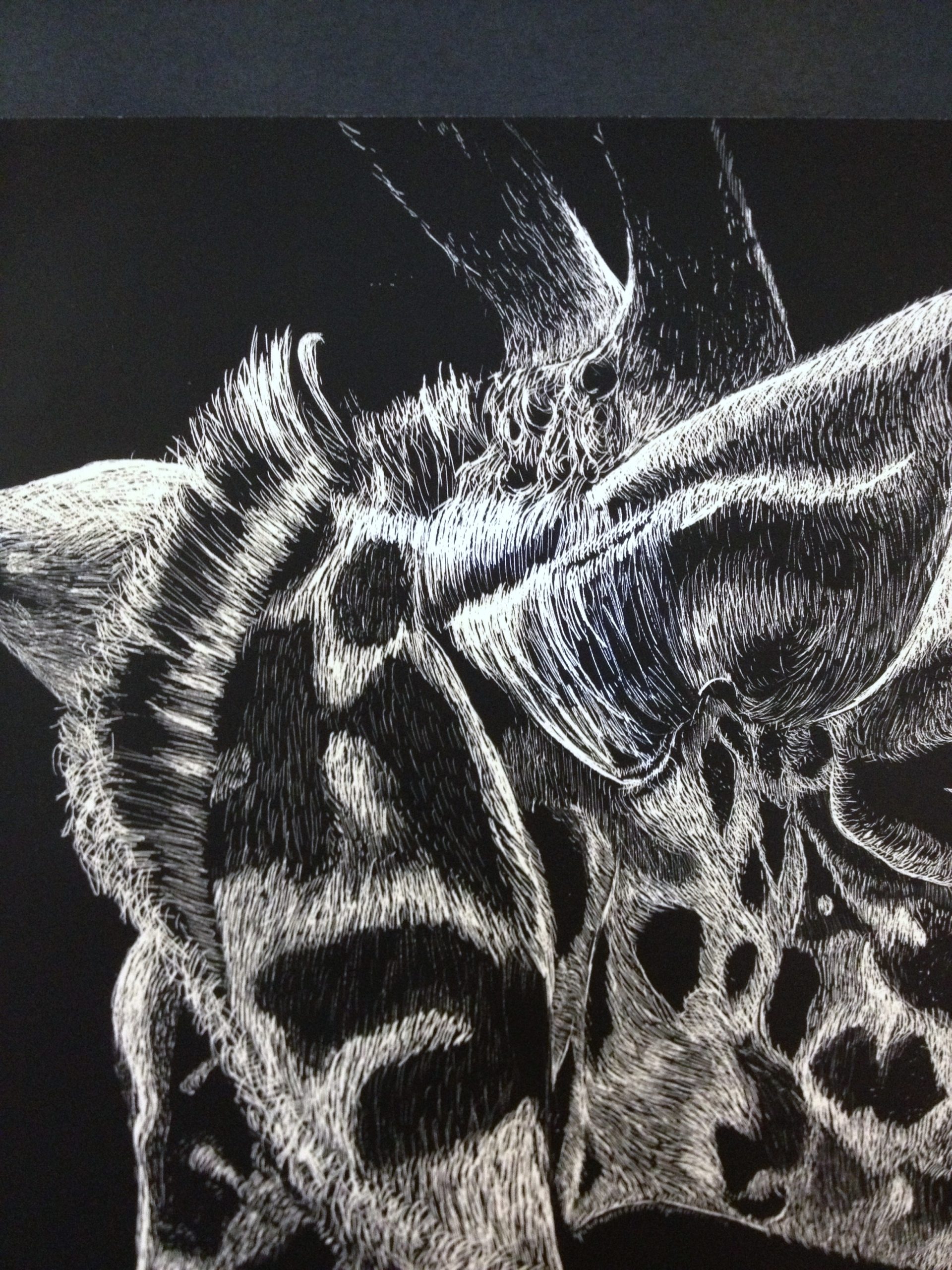 Scratchboard 13 Hs Scratch Art Lesson Scratch Board Value Through Line